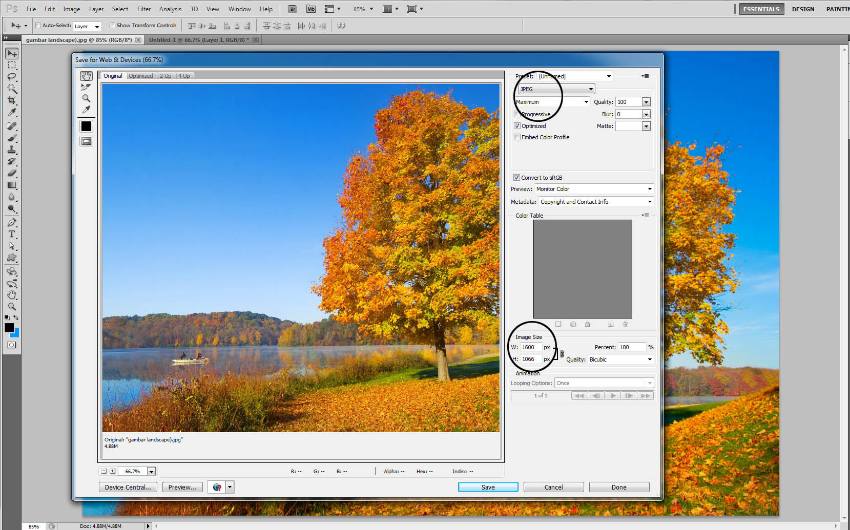 Tutorial Photoshop Save for web : bagaimana Mengecilkan File JPEG di ...