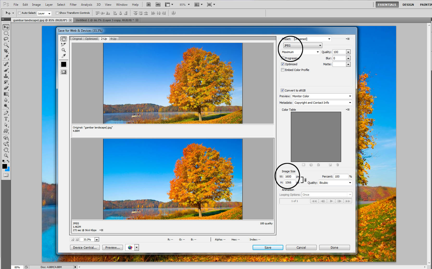Tutorial Photoshop Save for web : bagaimana Mengecilkan File JPEG di ...